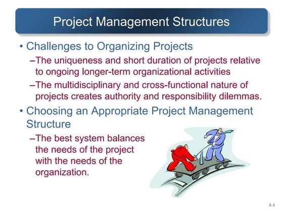 Project organisation structure | PPT | Business | Business and Finance