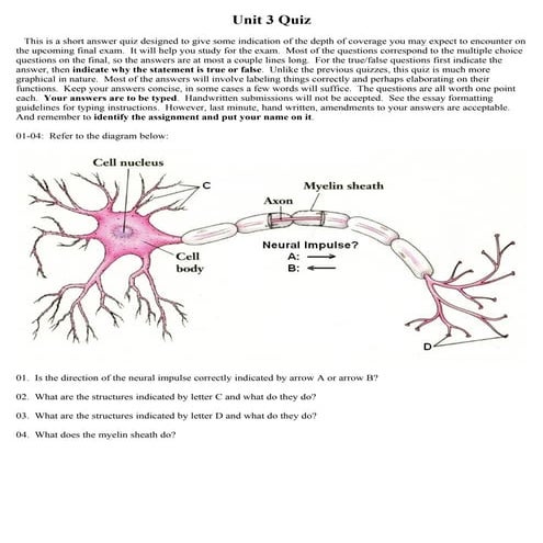 Unit 3 quiz spring 2011 print | DOC