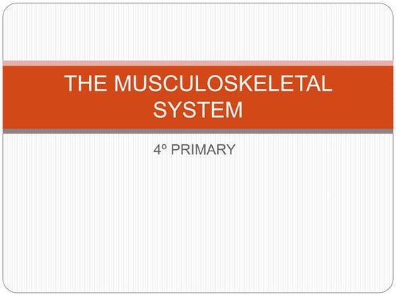 The musculoskeletal system Grade 6 | PPTX