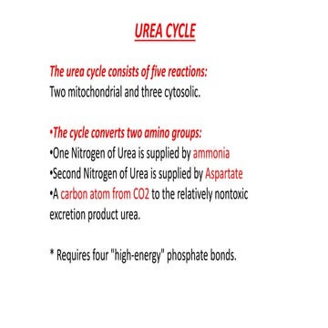 Unit 3 Urea cycle.pptx