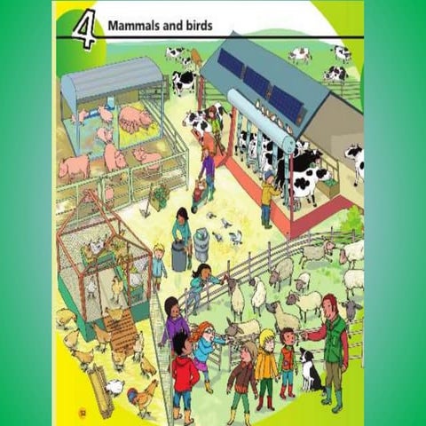 Unit 4. mammals and birds | PPTX | Birds | Pets