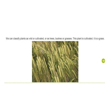 Unit 2 "The Senses and movement" | PPTX