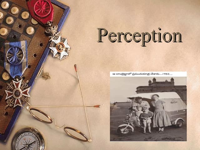 Perception | PPTX