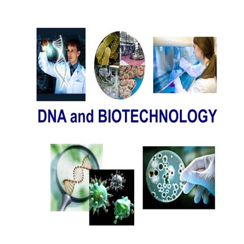 Unit4 biotechnology | PDF