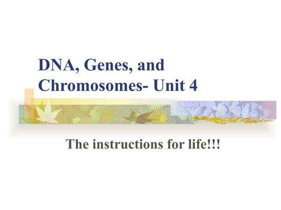 DNA, Genes, and Chromosomes. How important it is. | PPT