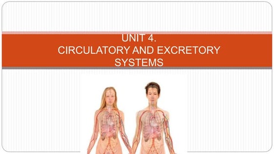 CIRCULATORY SYSTEM_CLASS 10th.pptx