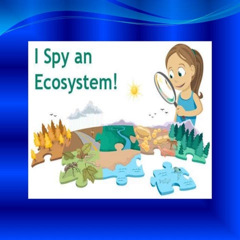 Ecosystems | PPT