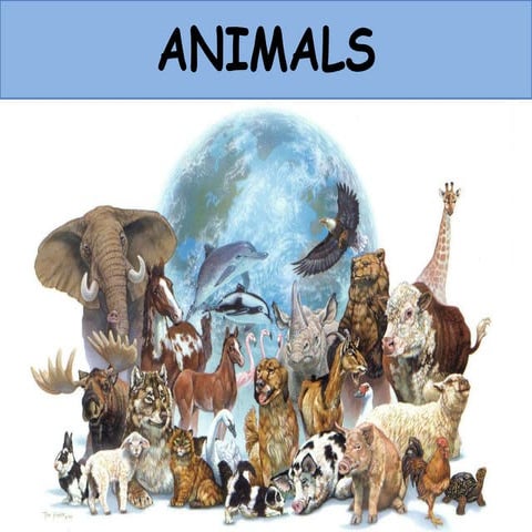 Animals and their young | PPTX