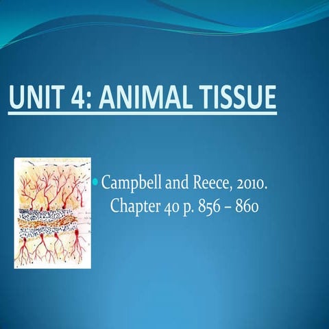 Unit 4 animal tissue | PPT