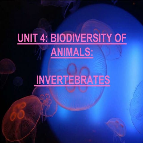 BIODIVERSITY OF ANIMALS INVERTEBRATES Lecture 2.ppt | Biological ...