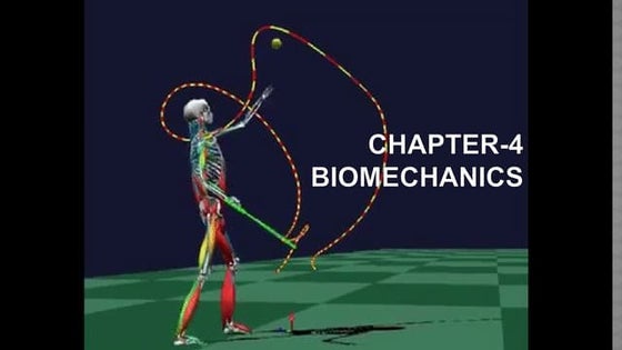 Human movement | PDF