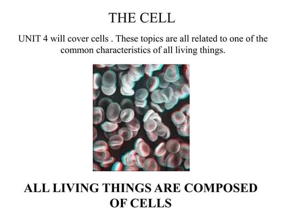 Cell and cell theory | PPT