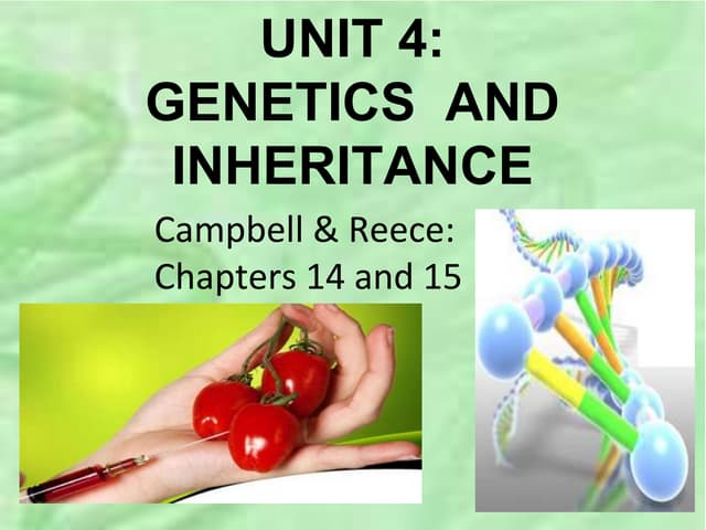CHAPTER 5 INHERITANCE.ppt | Blood Disorders | Diseases and Conditions
