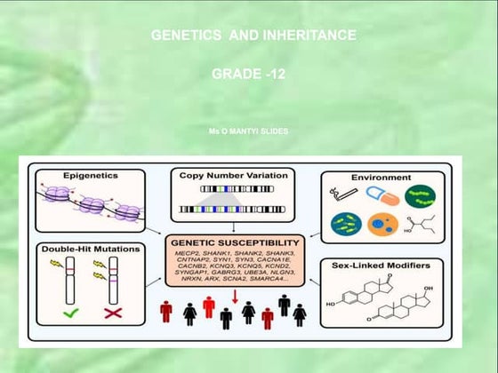 Genotype and phenotype | PPT