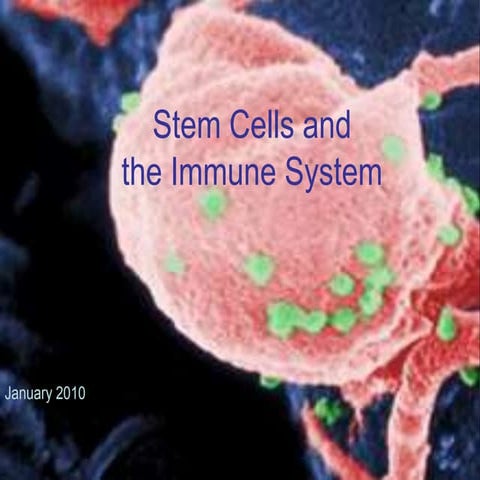 IMMUNE-SYSTEM Anatomy and Physiology.ppt
