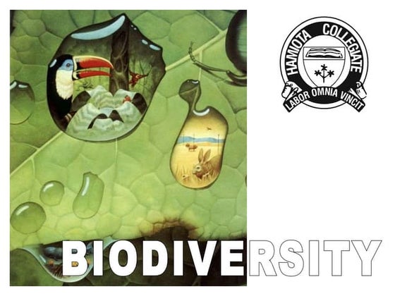 Hierarchy of Classification Groups - Biology | PPT