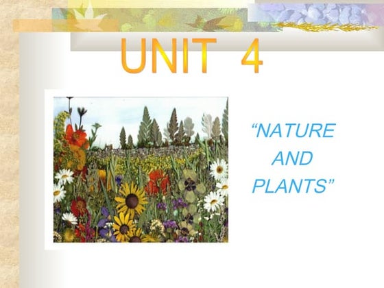plants needs and plants parts chapter3.grade 3 | PPTX