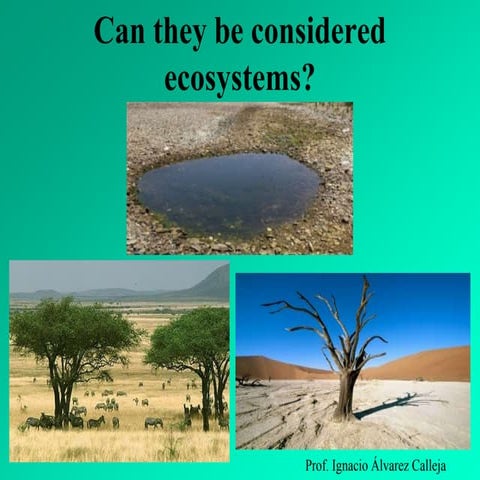 Ecosystems | PPTX | Geography | Science