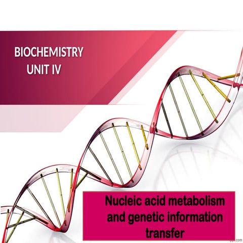 UNIT 4 PROTEIN SYNTHESIS_BIOCHEMISTRY_PCI | PPTX