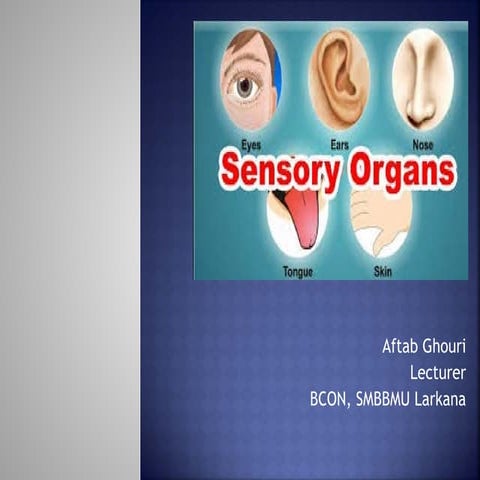 UNIT 4 SENSORY ORGANS and their sensory receptors | PDF