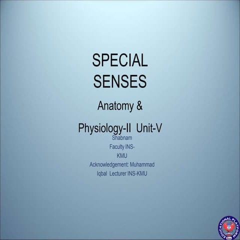 Sensory system, ear,eye anatomy | PDF