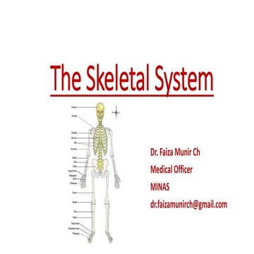 Unit 4 the skeletal system | PPTX