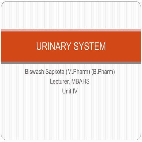 The urinary system | PPTX
