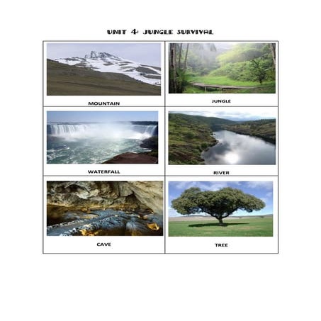 Unit 4 vocabulary_Jungle survival | PDF
