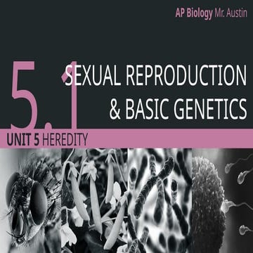 Unit 5.1 Sexual Reproduction & Basic Genetics 2223.pptx
