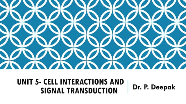 AP Bio Ch. 7 part 2 The extracellular matrix | PPT