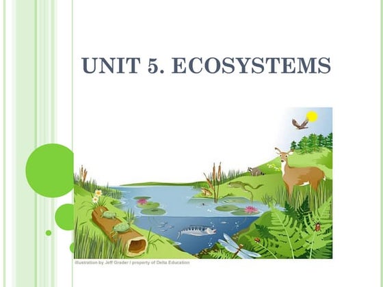 BIOLOGY SBA (LAB) | PDF