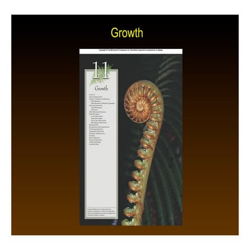Plant Growth and Development Class 11 Biology Free Study Material | PDF