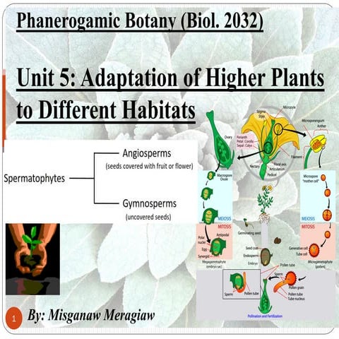 Unit 5 Adaptation Different Habitats Pdf