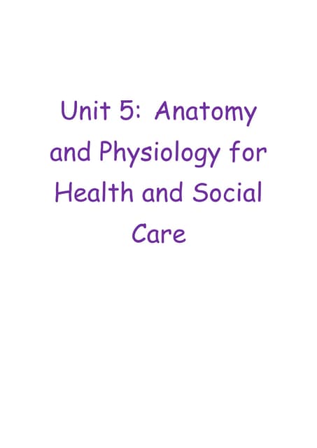 Task 5 | PPT