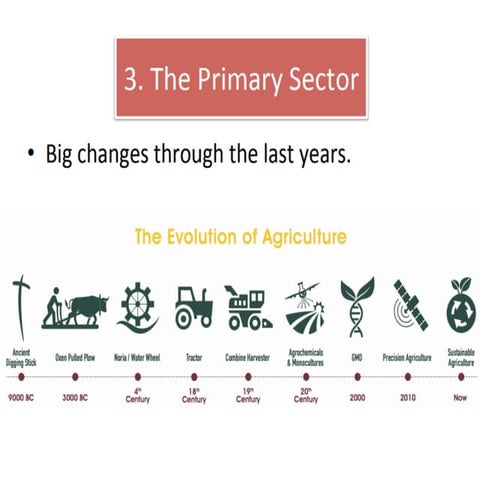 Unit 5 economic sectors | PDF