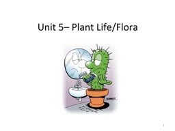 What are plants | PPT