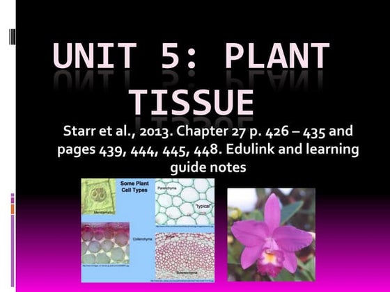 Tissues Class 9 ppt | PPTX
