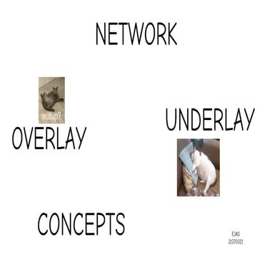 Unit 5 pptx which explains the concepts of the Network, Overlay ...