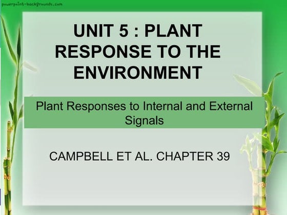 Plant Response to Environment. Grade 12. | PPSX | Endocrine and ...