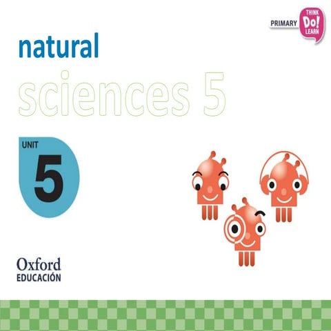 Unit 5 spanish | PPTX