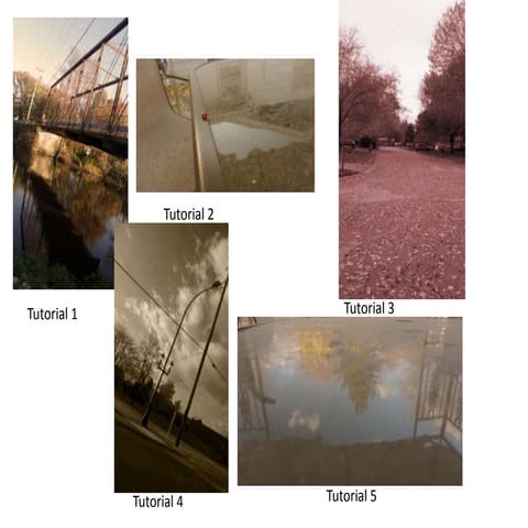 Unit 5 tutorials | PPT