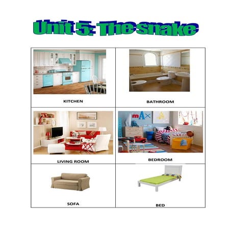 Unit 5 vocabulary | PDF