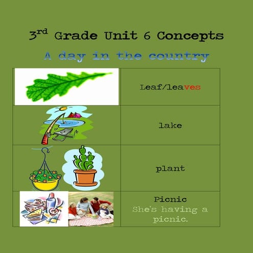 Unit 6 concepts | PDF