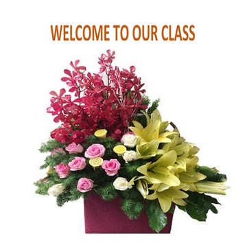 Unit 6 Gender Equality Lesson 6 WritingTHaomoi.pptx