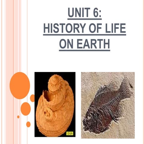 Unit 6 history of life on earth | PPTX