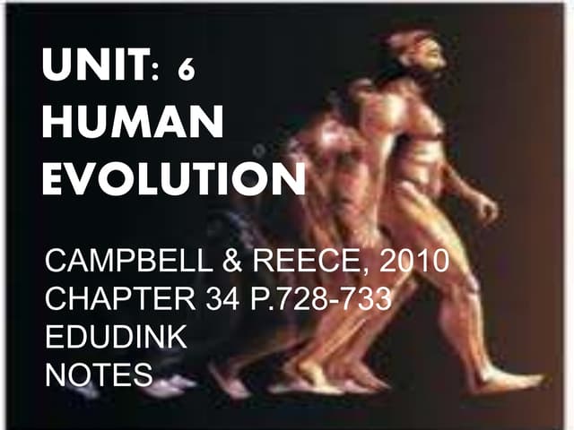 human evolution | PPTX