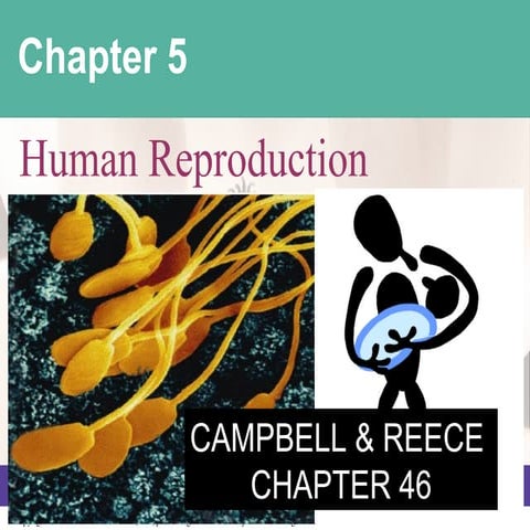 Unit 6 human reproduction(1) | PPT