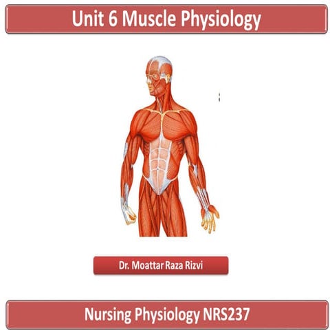 Unit 6 muscular system | PPT