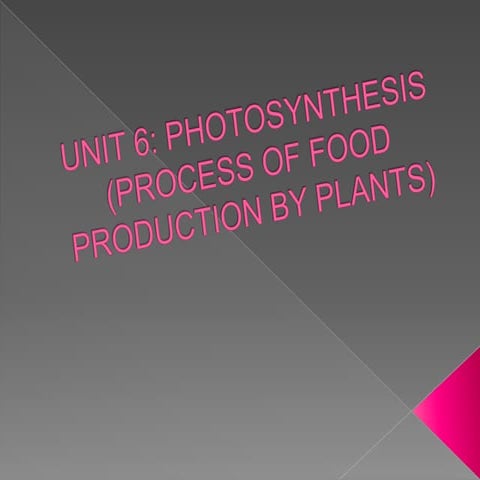 Unit 6 photosynthesis | PPTX