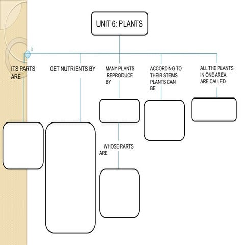 Plant body systems.pptxjjjjjjjjjjnnnnnnnn | PPTX